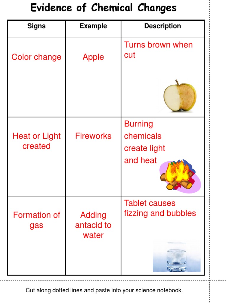Chemical Changes Graphic Organizer Answer Key | PDF