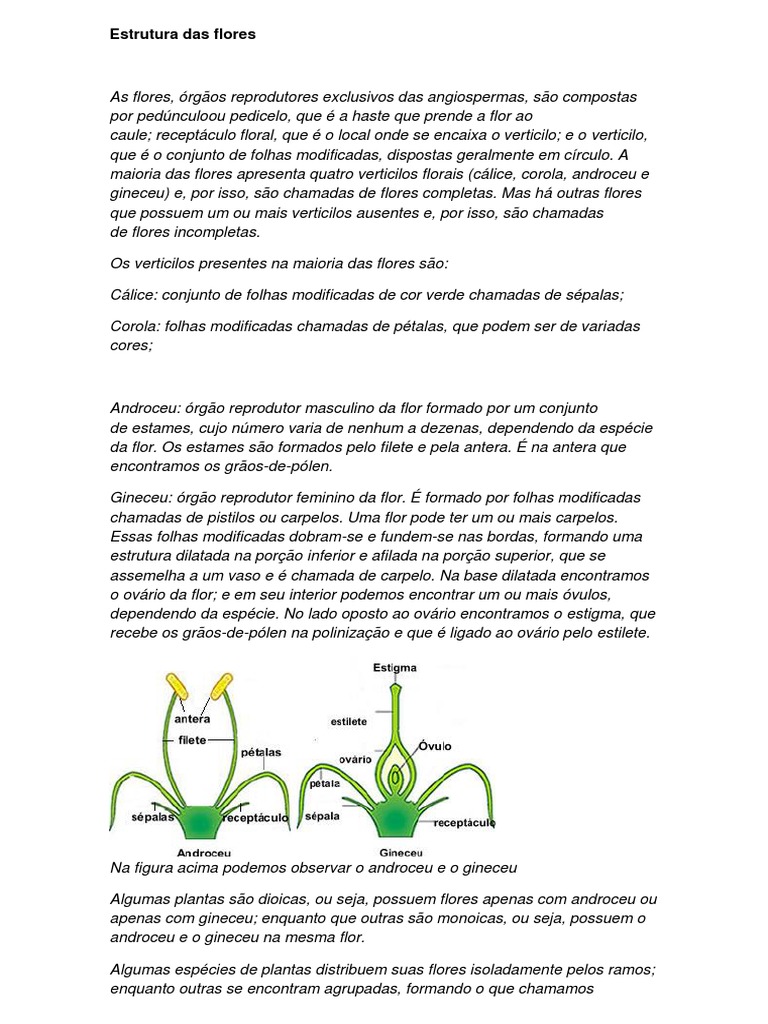 Estrutura Das Flores | PDF | Flores | Polinização