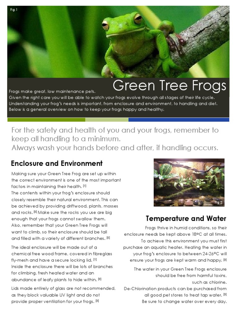 Green Tree Frogs | PDF | Frog | Hvac