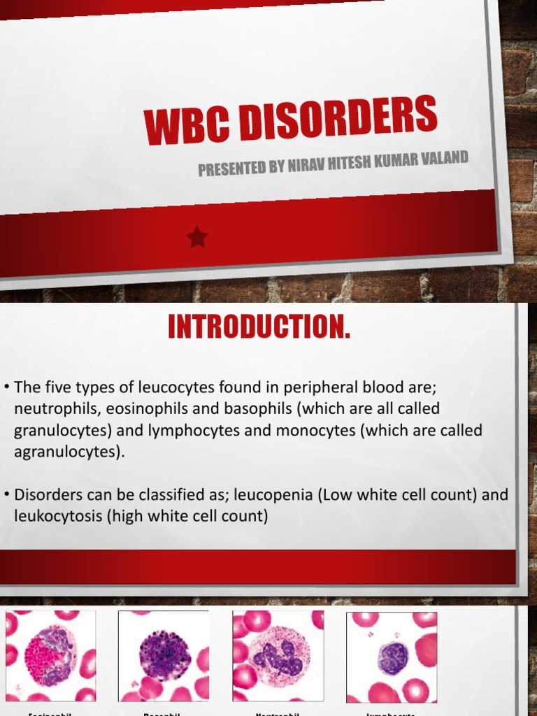 WBC Disorder | PDF | White Blood Cell | Immunology