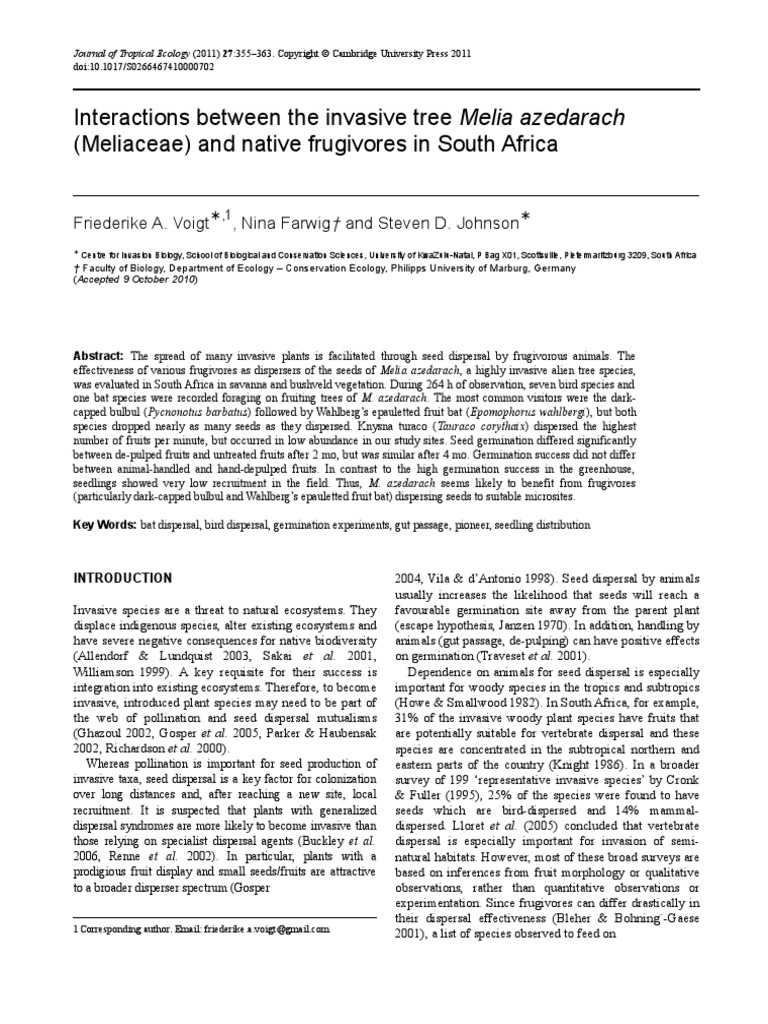 Interactions Between The Invasive Tree Melia Azedarach (Meliaceae) and Native Frugivores in ...