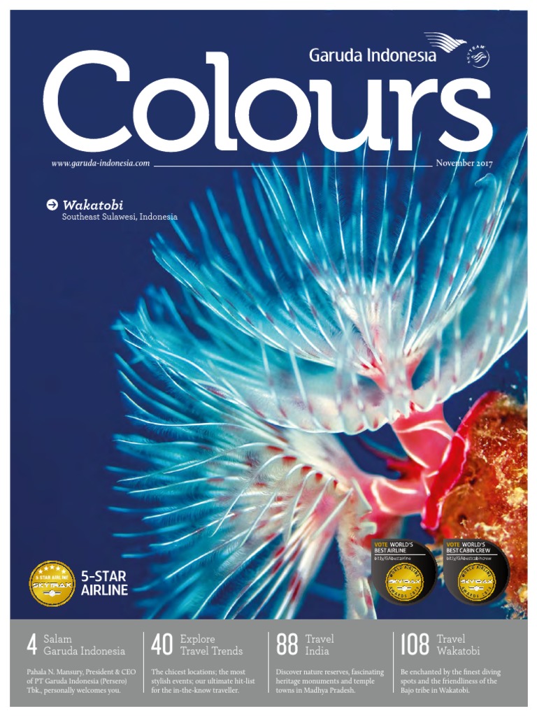 Colours LR | PDF | Business | Leisure