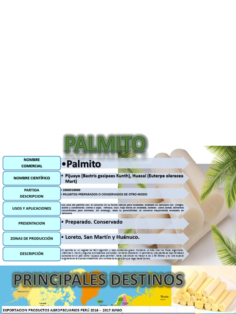 Características y Usos del Palmito | PDF