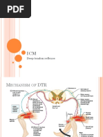 Edinburgh Handedness Inventory Guide | PDF | Handedness | Asymmetry
