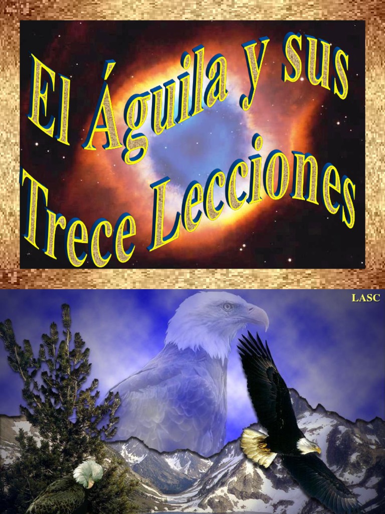 Diapositivas Las 13 Lecciones Del Aguila | PDF | Águila | Aves