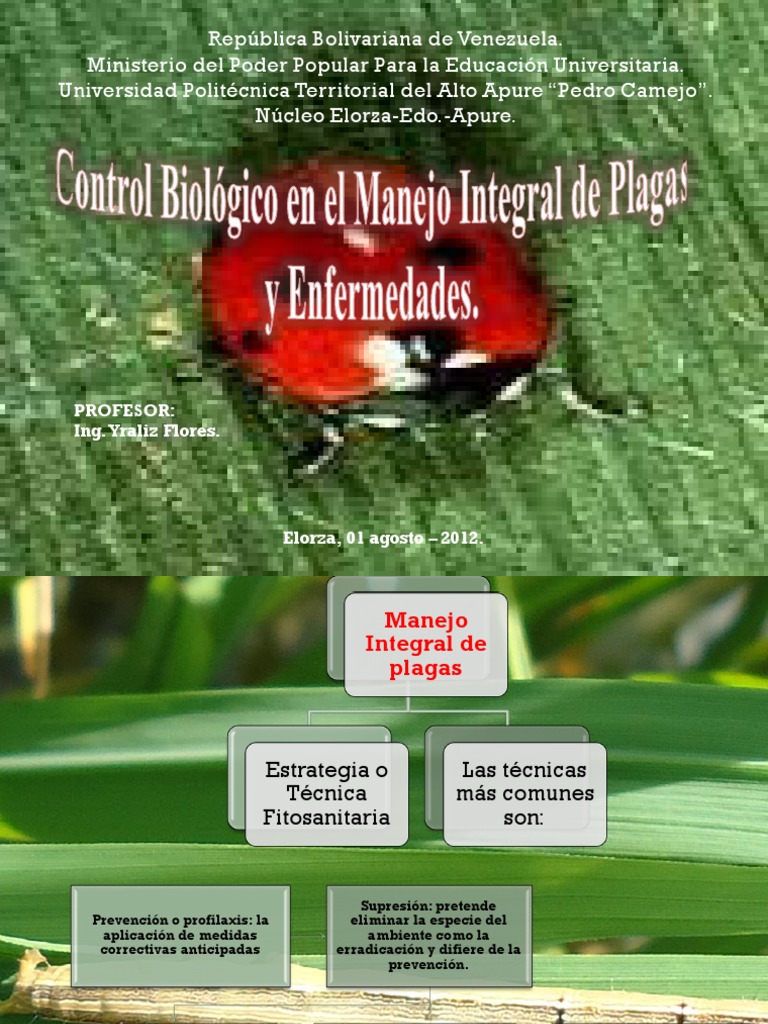 Manejo Integral de Plagas Y control Biológico | Insectos beneficiosos ...