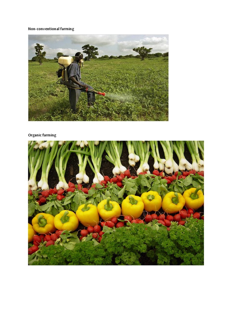 Non-Conventional Farming | PDF | Landscape Architecture | Gardening