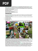 El Mal de Ojo | PDF | Brujería | Demonios