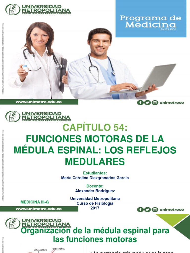 Capitulo 54 Guyton | Descargar gratis PDF | Materia gris | Neurona motora