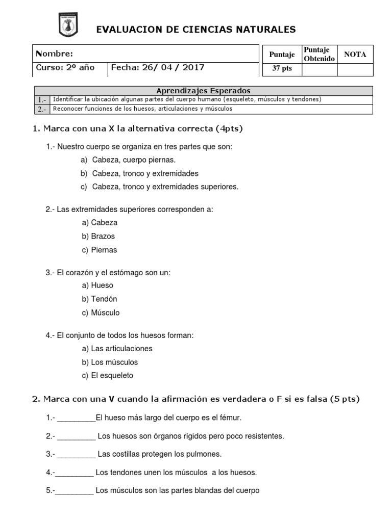 Prueba Cuerpo Humano | PDF | Articulación | Hueso
