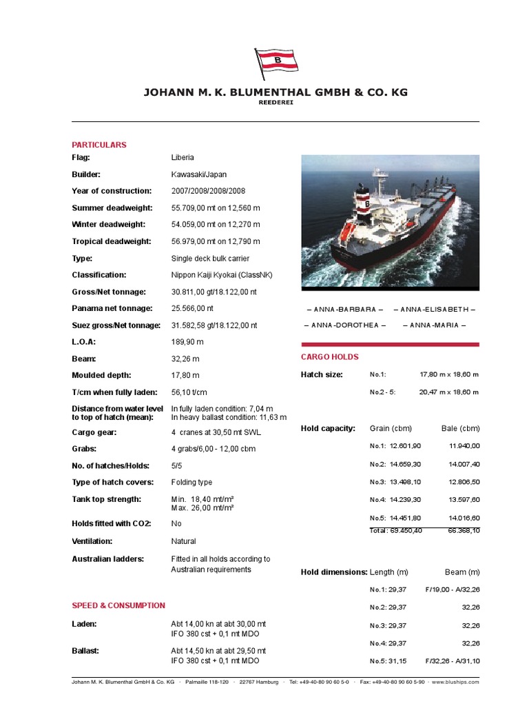Bulk Carrier Details | PDF | Fuel Oil | Tonnage