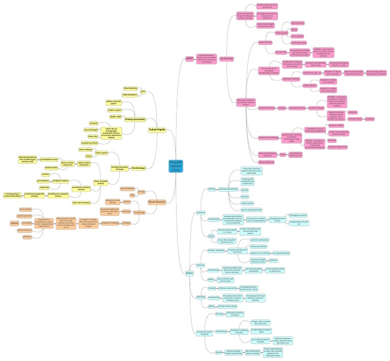 Mind Map Penyakit Pencernaan | PDF