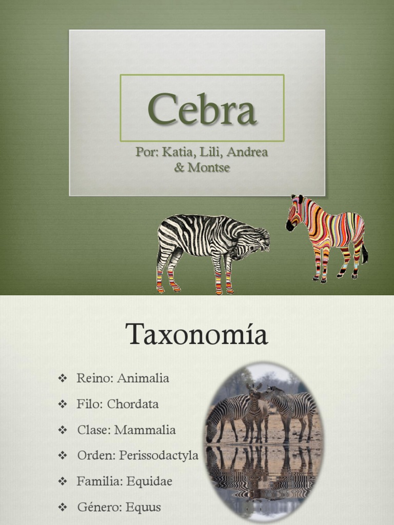 Cebras | PDF | Cebra | Équidos