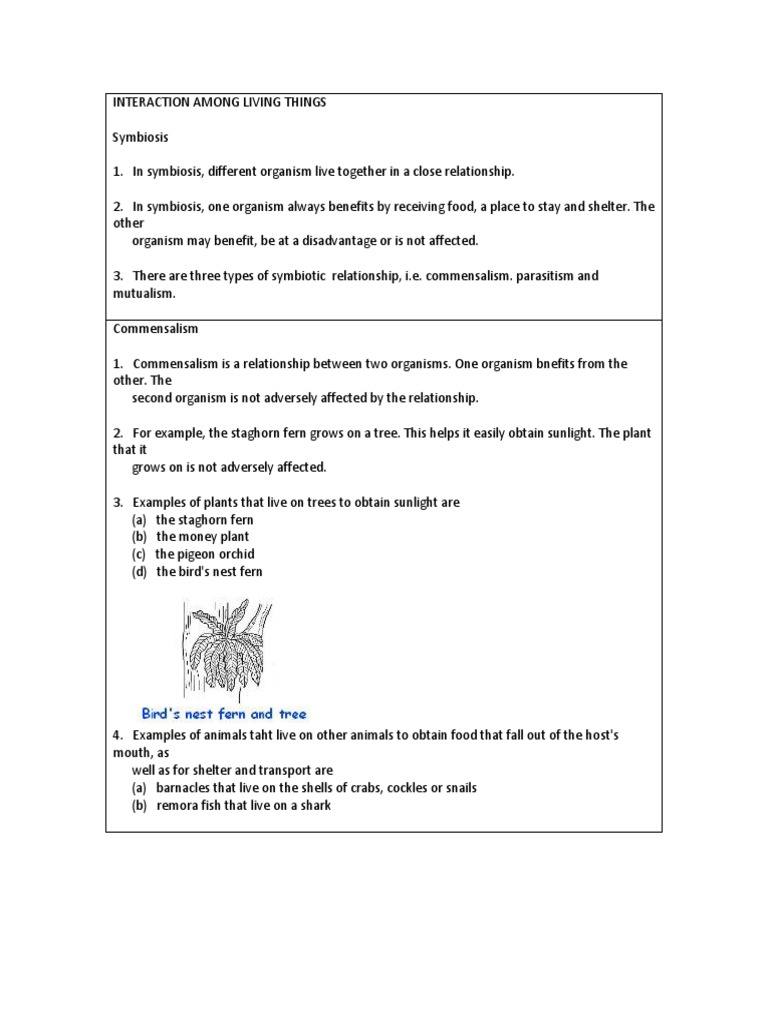 Living Things Interactions | PDF
