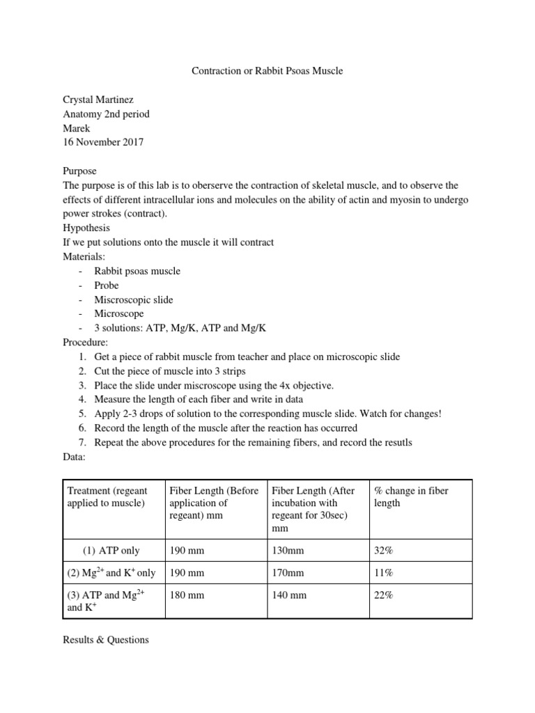 Rabbit Psoas Muscle Contraction Lab | PDF