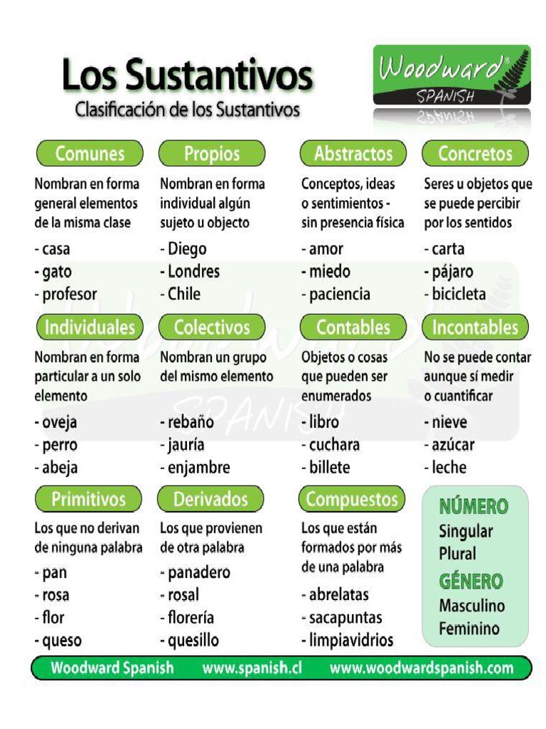 Tipos de Sustantivos Infografia | PDF