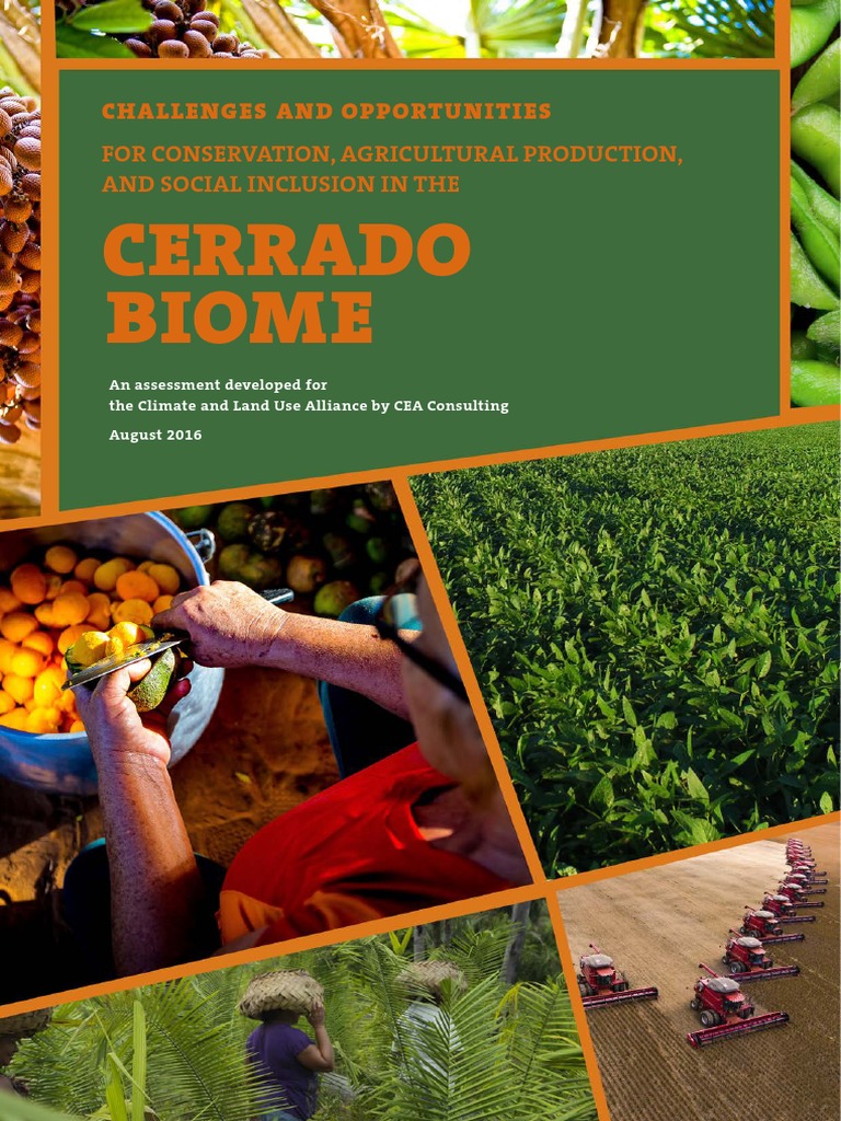 Cerrado Biome: For Conservation, Agricultural Production, and Social ...