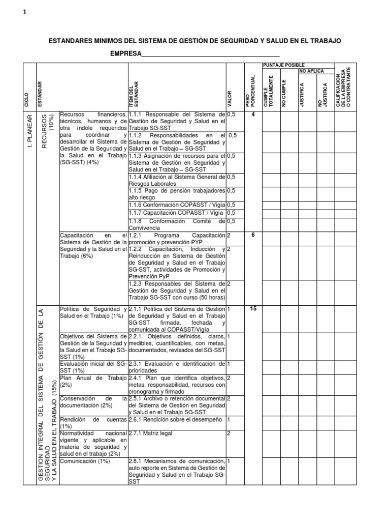 Formato Estandares Minimos Sg-sst- Imprimir