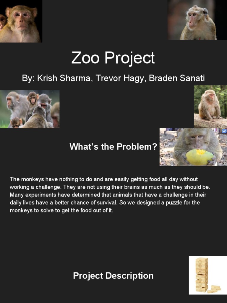 Zoo Project | PDF | Science & Mathematics