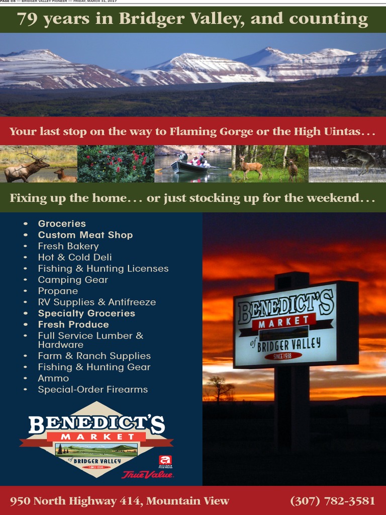Outdoor & Home Essentials Hub | PDF