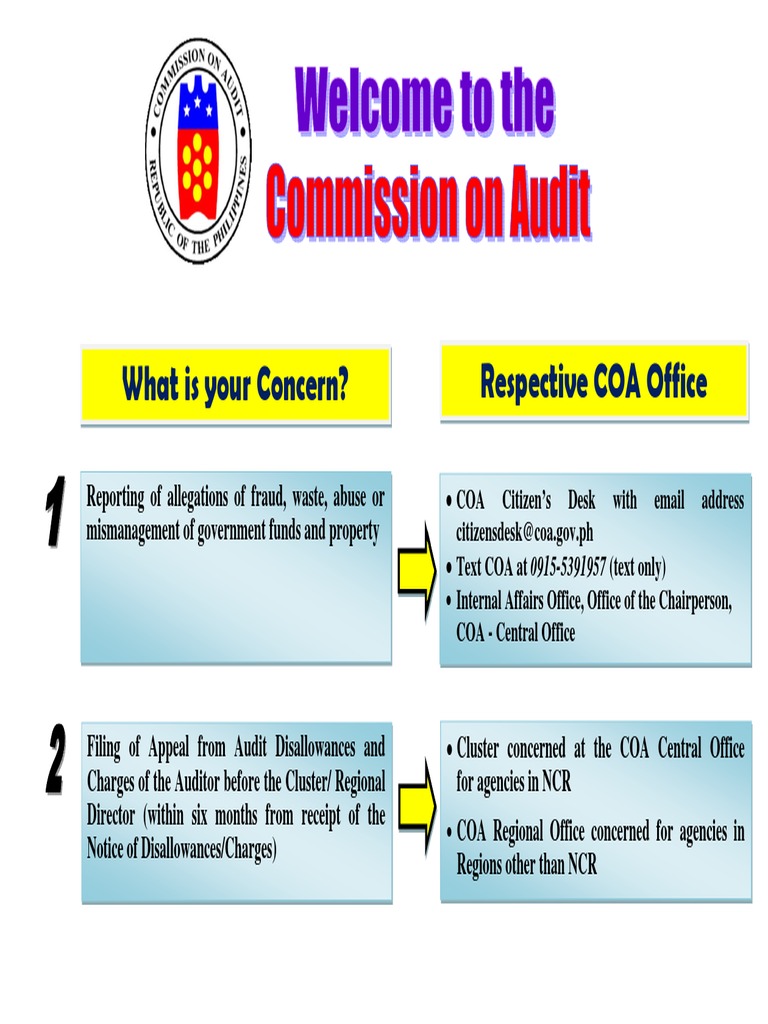 COA Reporting and Filing Procedures Guide | PDF | Audit | Virtue