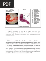 Embrio Ayam 72 Dan 96 Jam | PDF