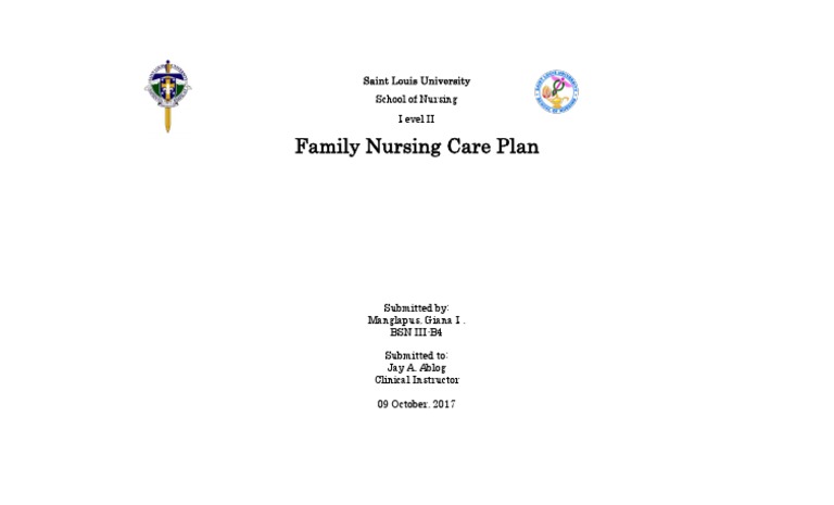 Family Nursing Care Plan: Saint Louis University School of Nursing ...