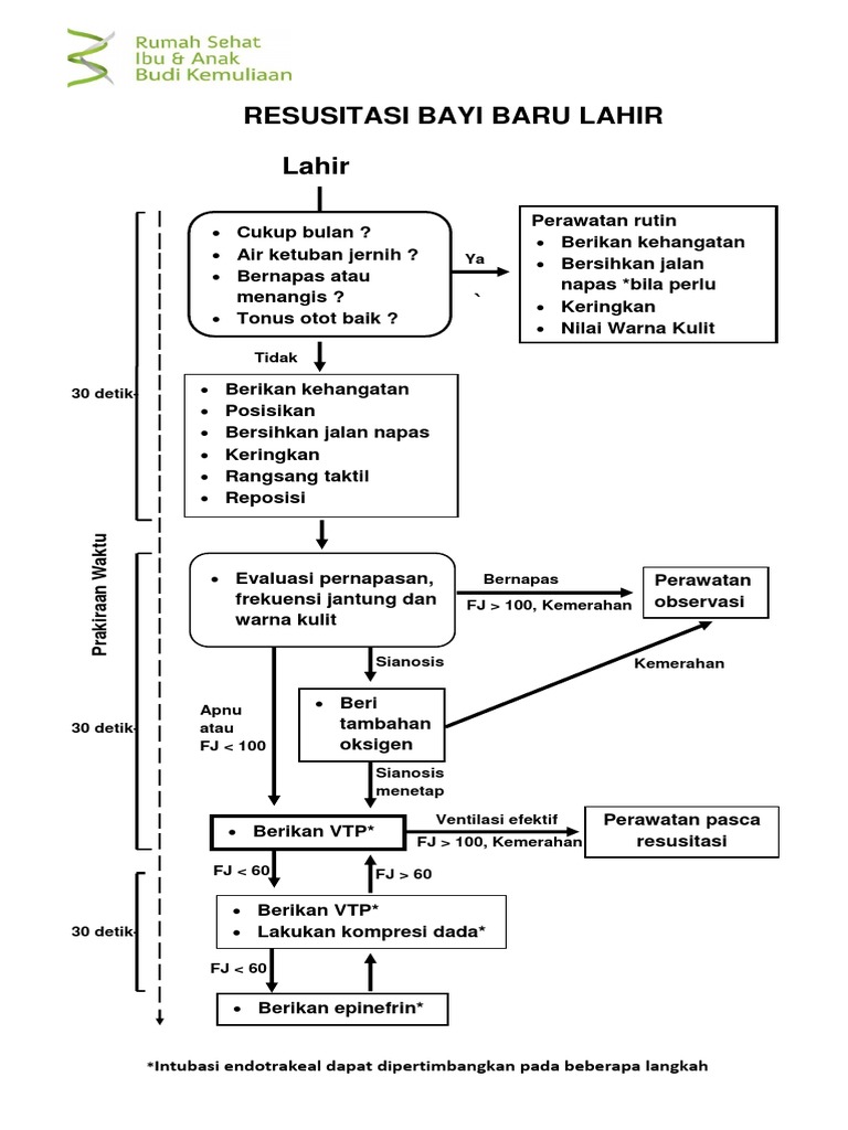 Alur Resusitasi Bayi Lahir | PDF