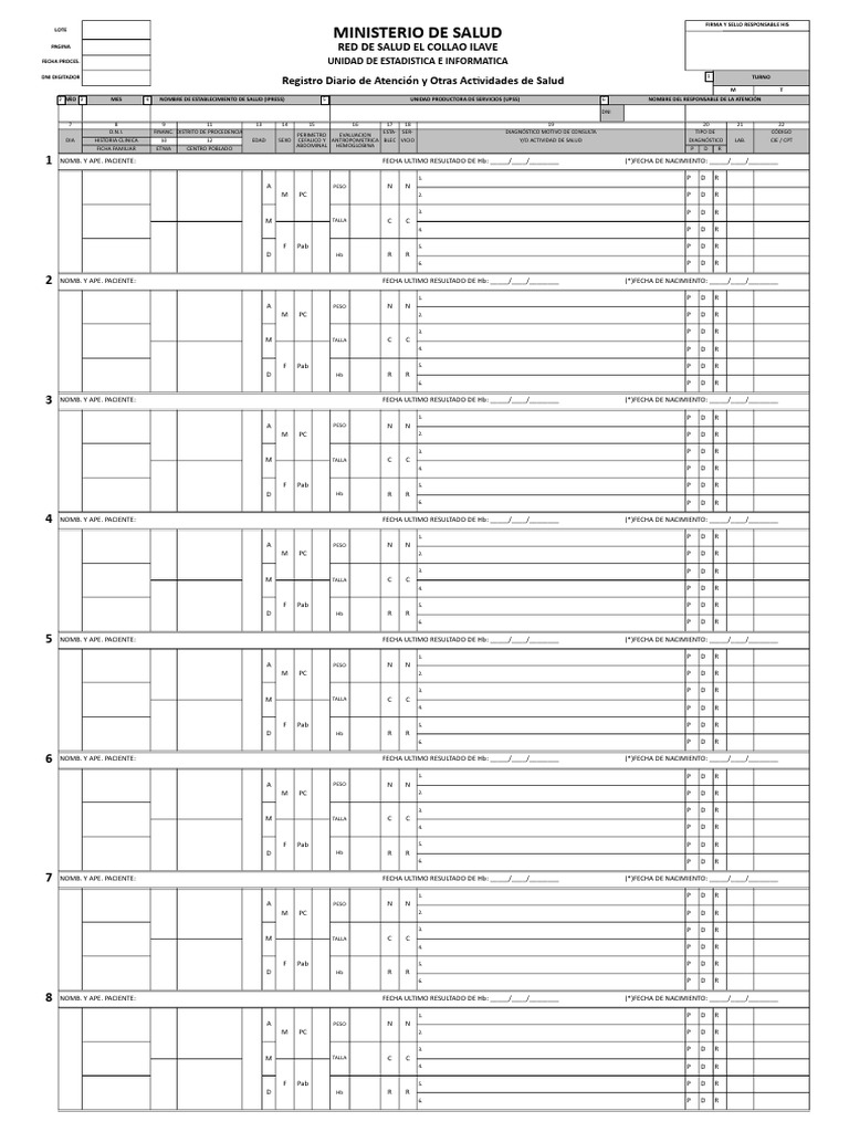 Nuevo Formato His 2017 Aprobado | PDF | Salud y bienestar | Medicina