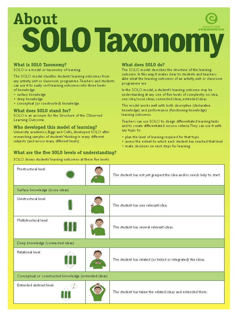 Solo Flyer | PDF | Rubric (Academic) | Learning