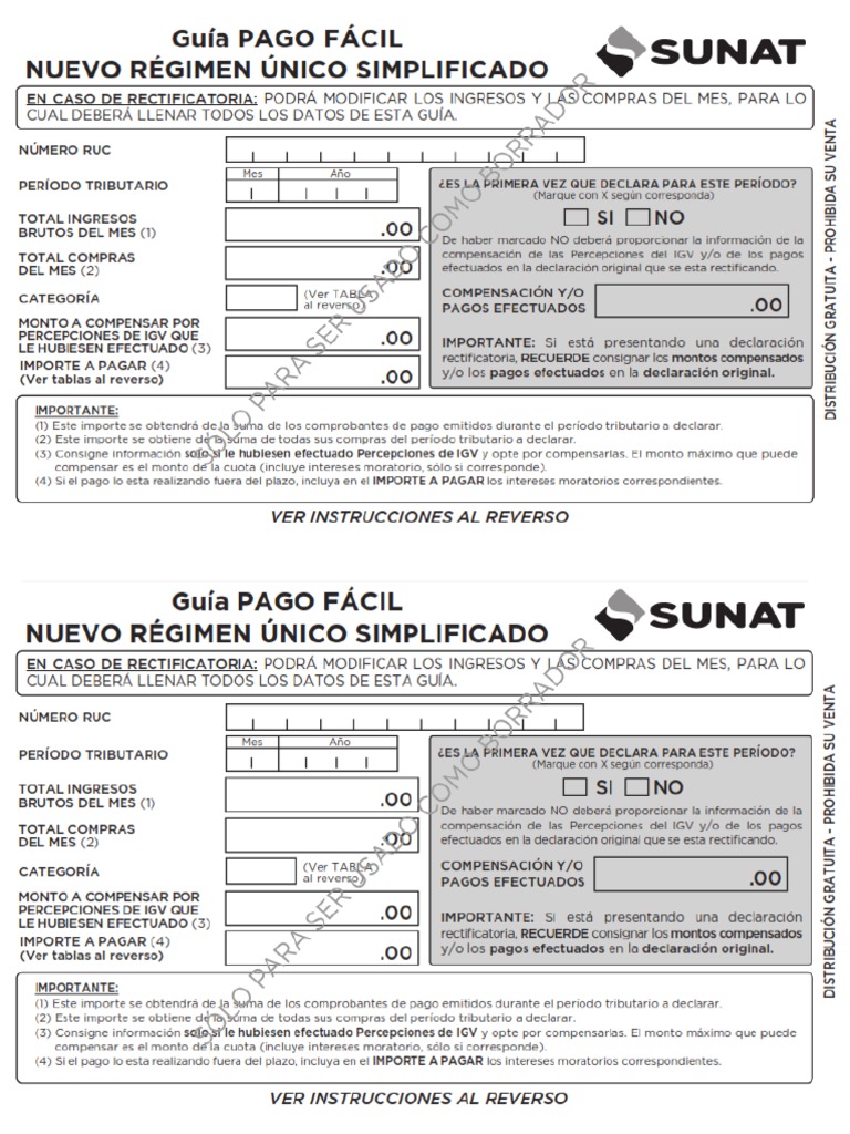 Rus Formato Pago | PDF