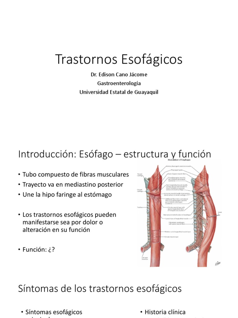 Trastornos Del Esofago | PDF | La enfermedad por reflujo ...