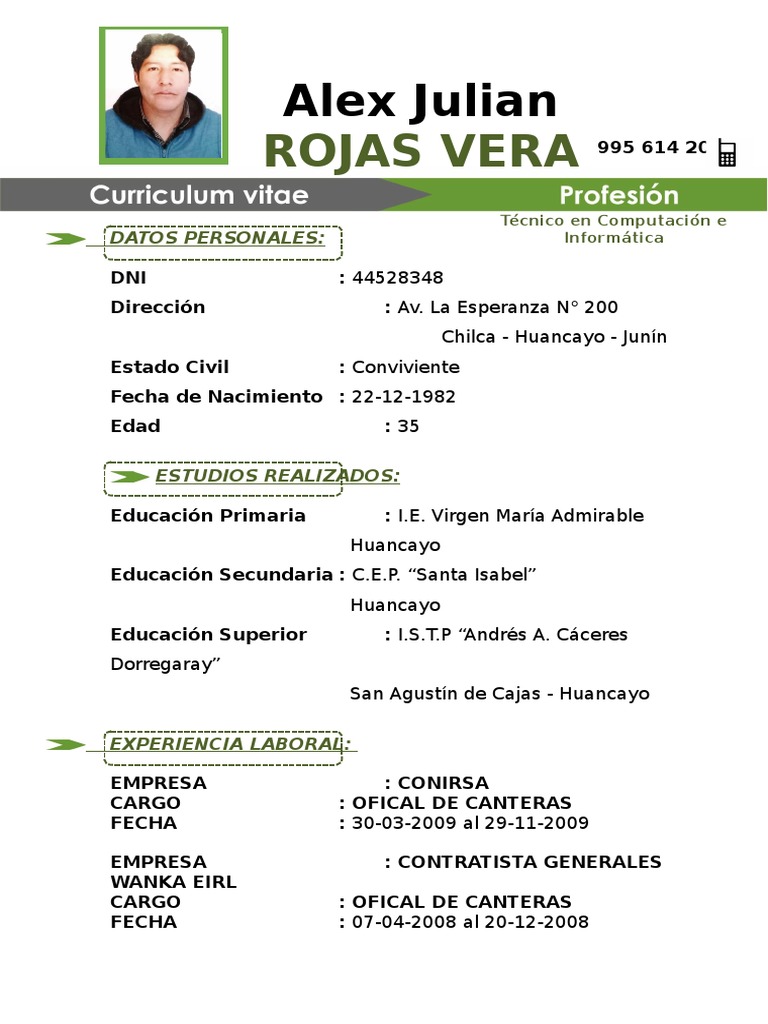 Curriculum Vitae Gregorio | PDF