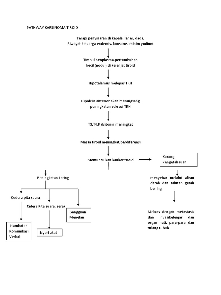 Pathway Karsinoma Tiroid