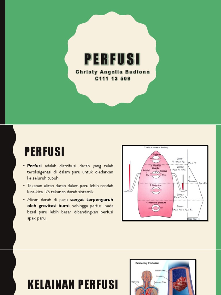 Memahami Perfusi Paru dan Ventilasi | PDF