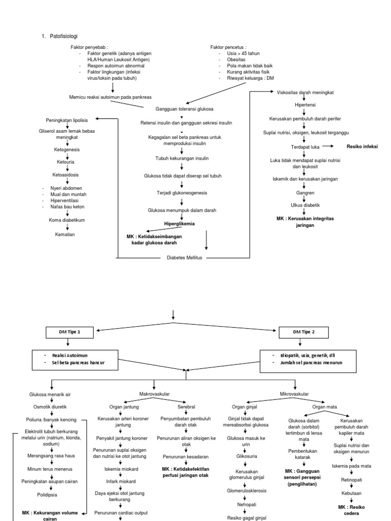 Patofisiologi Diabetes Melitus