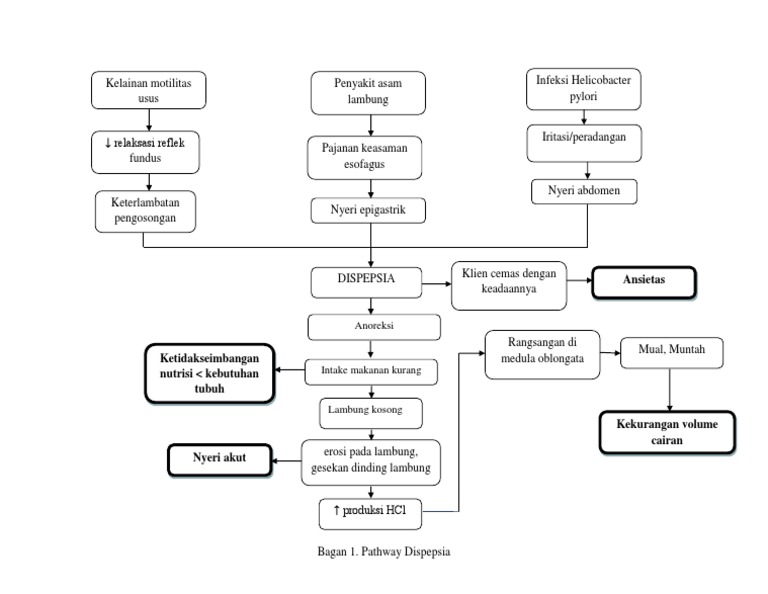 Pathway Dispepsia | PDF