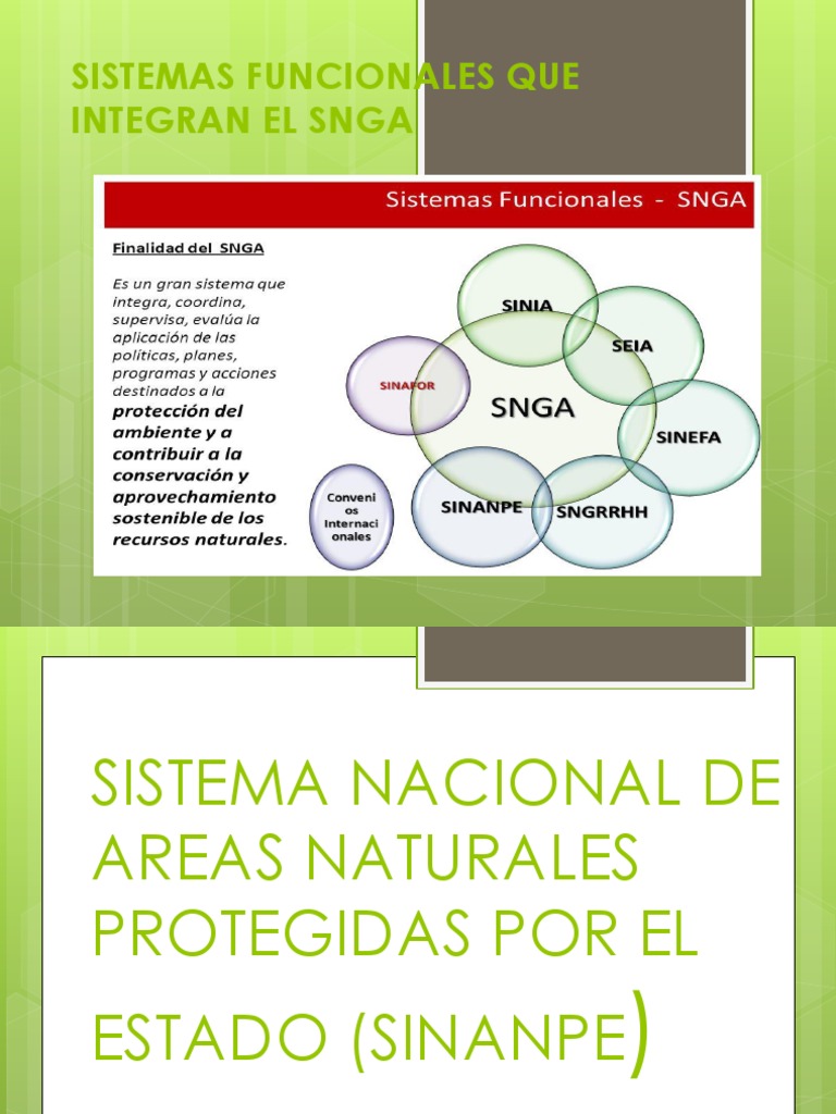 Sistemas Funcionales Que Integran La SNGA | PDF | Sustentabilidad | Evaluación de impacto ambiental