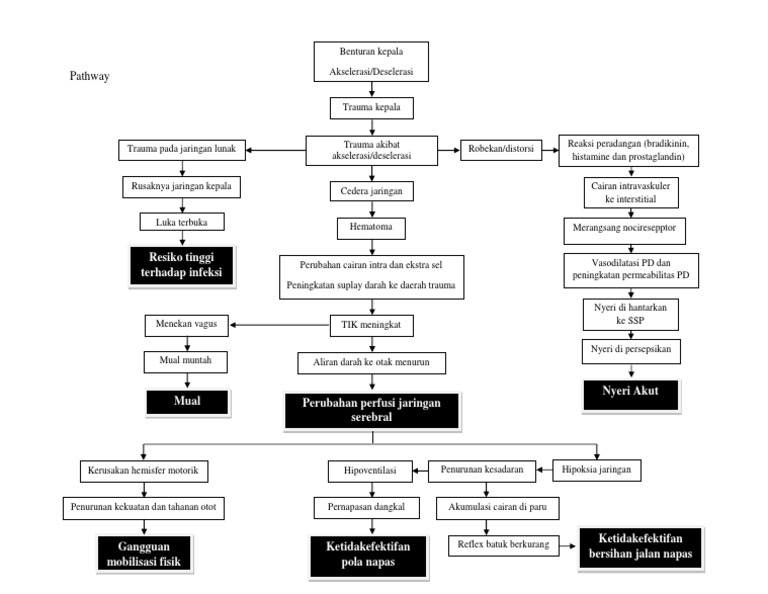 Pathway Cedera Otak | PDF