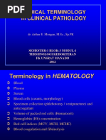 Informe de Actividades Laborales