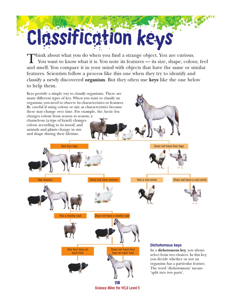 8.classification Keys | PDF | Organisms | Nature