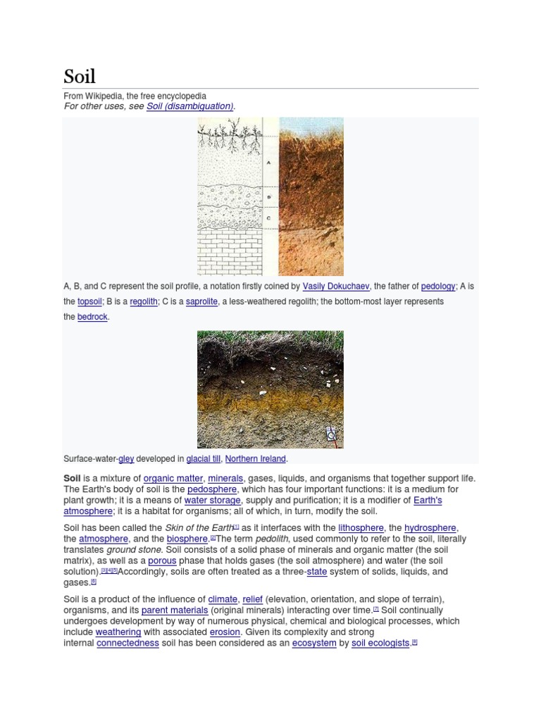 For Other Uses, See .: Soil (Disambiguation) | PDF | Weathering | Soil