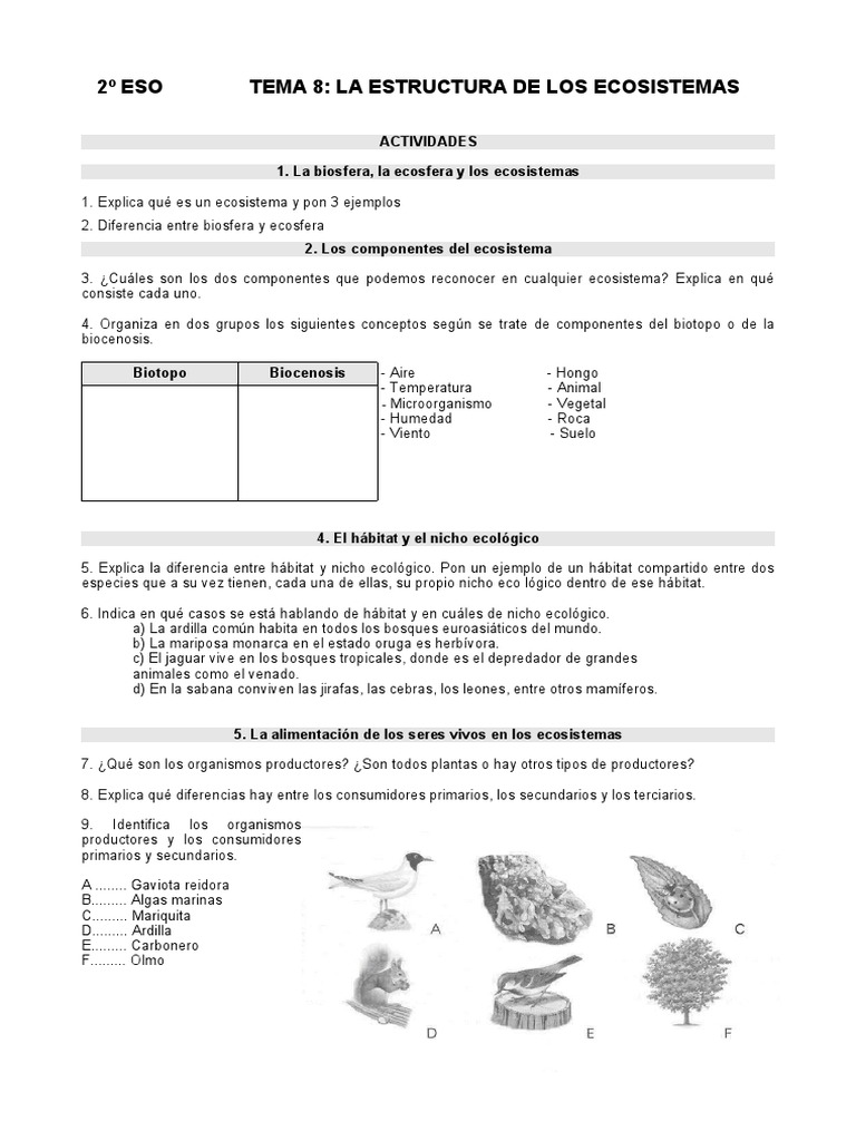 Ecosistemas | Descargar gratis PDF | Ecosistema | Red alimentaria