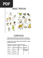 Las Cadenas Troficas - Las Redes Troficas (Alumno) | PDF | Red ...