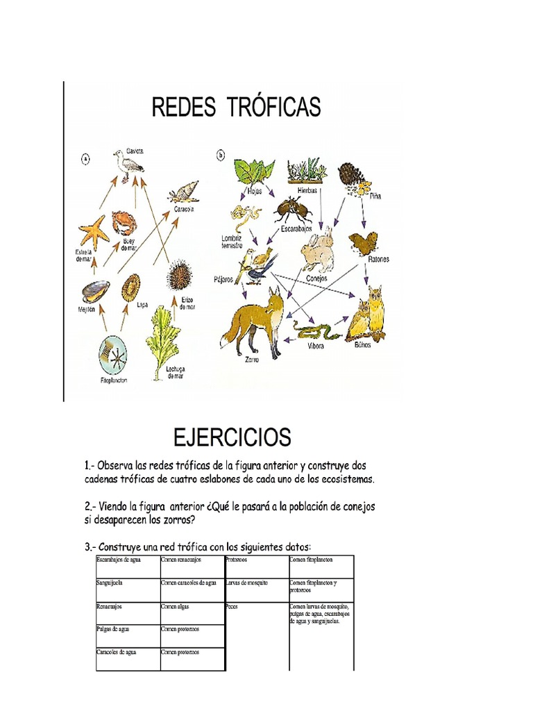 actividad-redes-tr-ficas-pdf