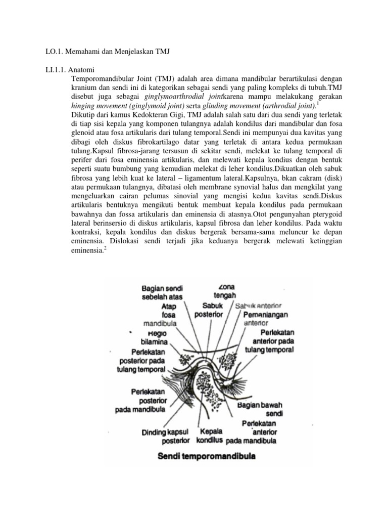 Anatomi TMJ | PDF