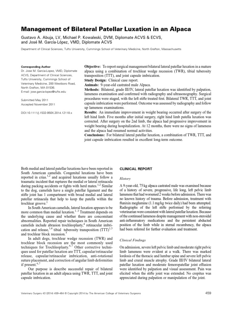 Management of Bilateral Patellar Luxation in An Alpaca | PDF | Knee ...