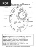 Annotated Video Script TEMPLATE Cell Cycle by Amoeba Sisters | PDF ...