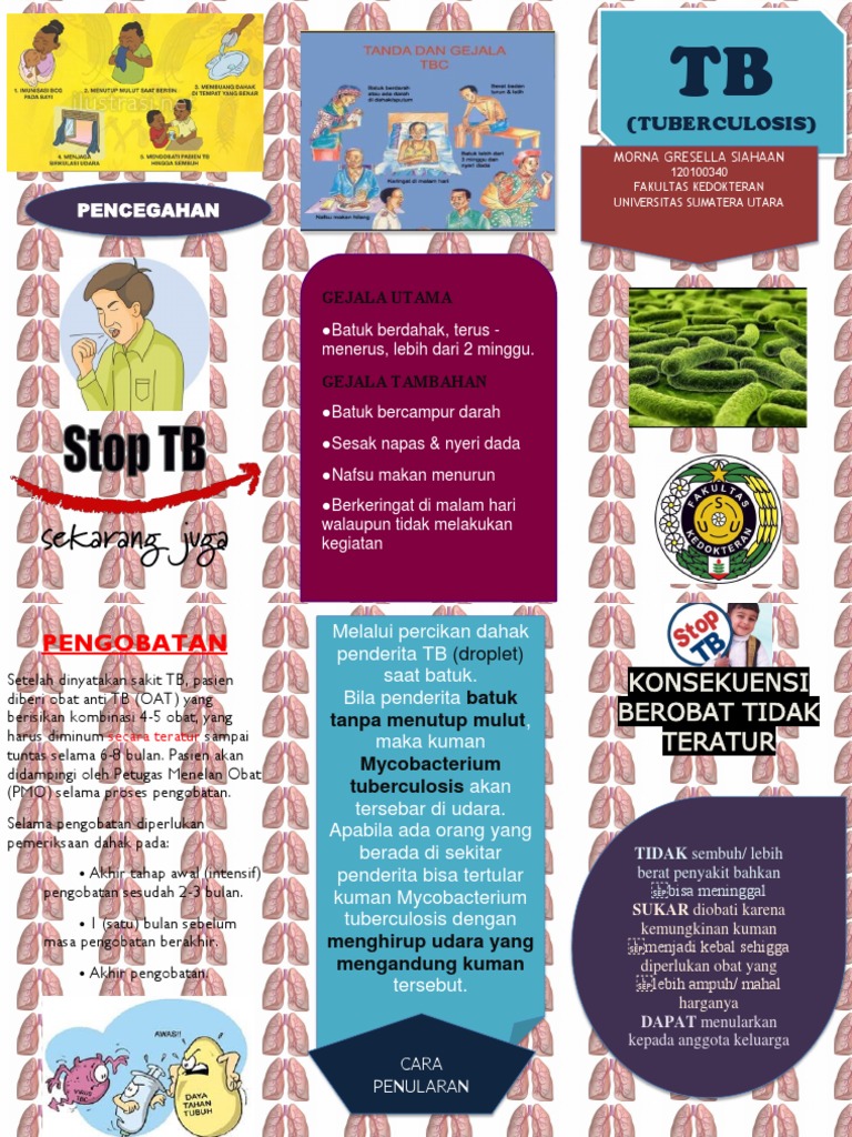 Leaflet TB | PDF