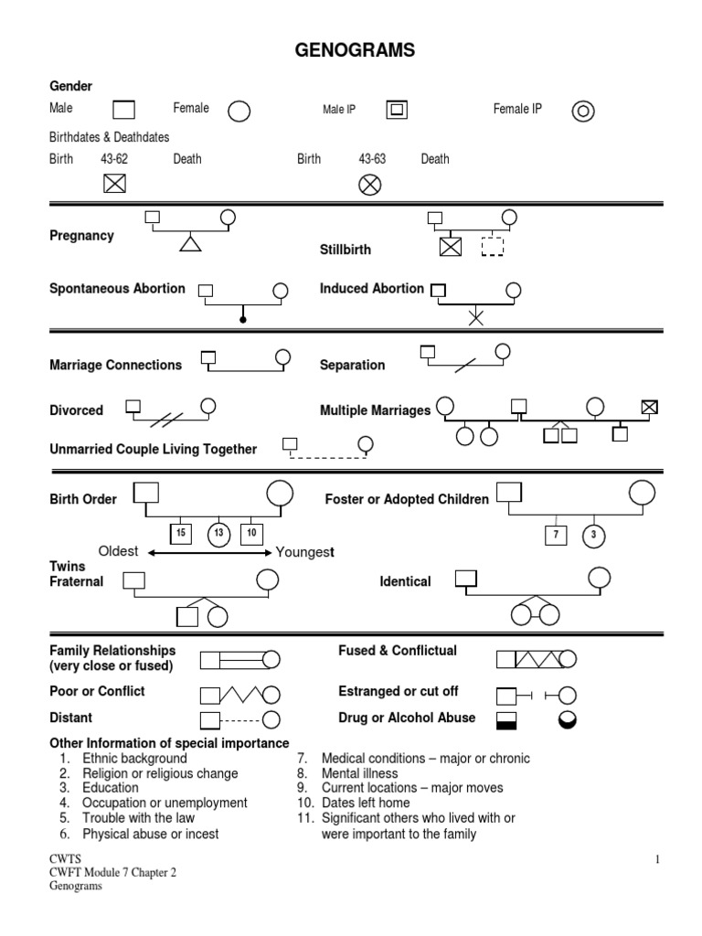 GENOGRAMS: A GUIDE TO FAMILY HISTORY AND RELATIONSHIPS | PDF ...